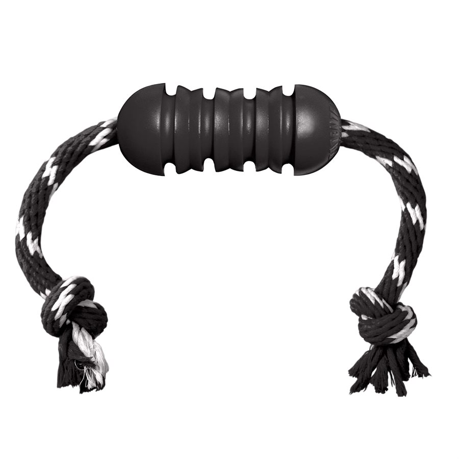 KONG Extreme Dental with Rope Medium