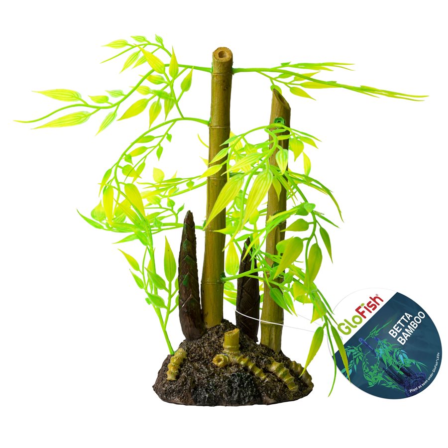 GloFish Decorations