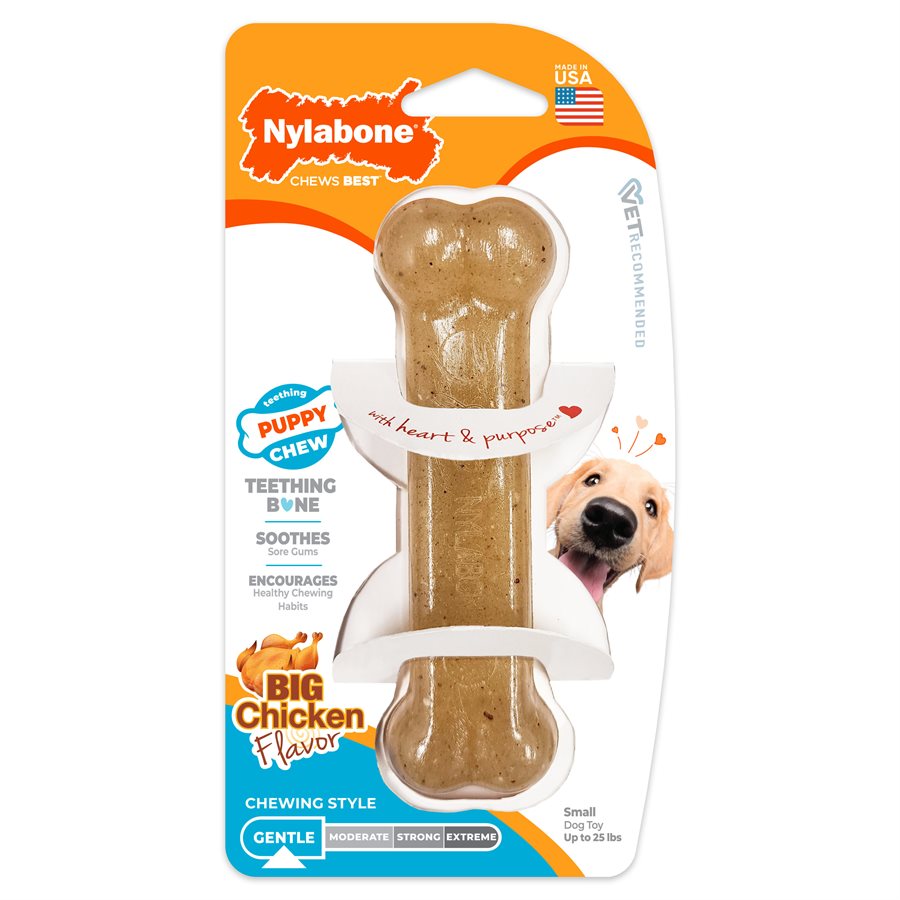 Nylabone Puppy Chew Bone Regular